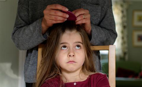 SOS luizen: 8 feiten en fabels over hoofdluis | solidaris-vlaanderen.be